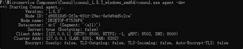 Aspnet Core基础篇之：服务的注册与发现（consul）初篇（一） 畅饮无绪 博客园
