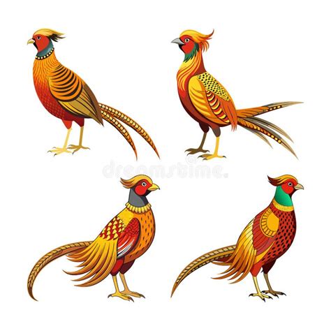 Vibrant Golden Pheasant Bird Artwork Stock Vector Illustration Of