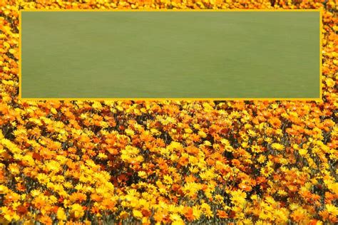 Bright Flowers Nursery With Bordered Open Text Box Area Template Stock