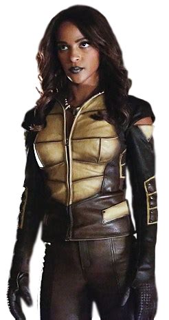 Png Vixen Arrow Legends Of Tomorrow Png World