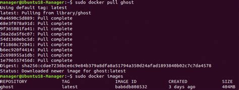 Lanzar Y Detener Un Contenedor Docker Seguridad Zero