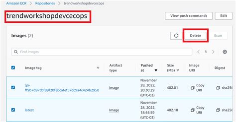 Cleanup Your Environment Self Guided