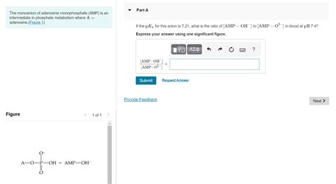 Solved The Monoanion Of Adenosine Monophosphate Amp Is An