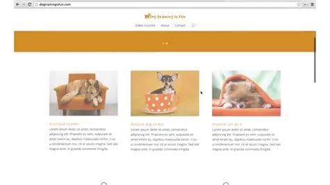 Wordpress Tutorial Pt 5 Adding Plugins And Launching Youtube