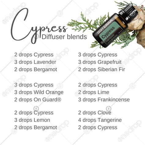 Cypress Diffuser Blends By Fernanda Cavaletti