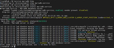 Hướng Dẫn Hạ Cấp Mariadb Trên Directadmin