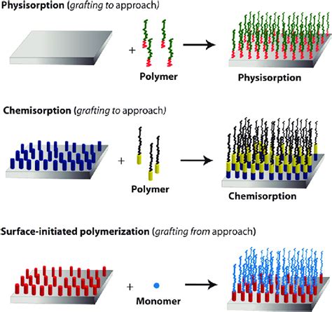 Synthetic Strategies For The Preparation Of Polymer Brushes A Download Scientific Diagram
