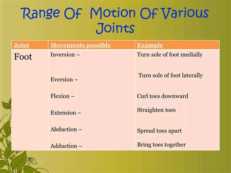 Exercise Range Of Motion Exercise PPTX
