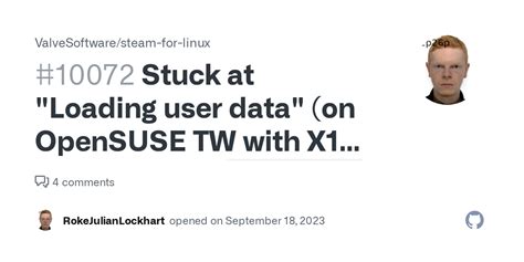Stuck At Loading User Data On Opensuse Tw With X11 When Running `desktop` File Works From