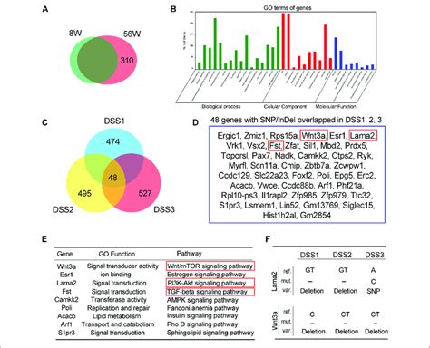 Annotation Of Single Nucleotide Polymorphism Insertion Or Deletion Download Scientific