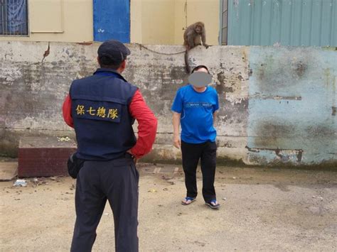 猴年養猴當寵物 男子遭查獲法辦 其它 Nownews今日新聞