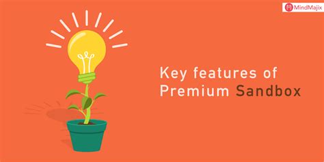 What Is NetSuite Sandbox Features Types SUB Accounts Types