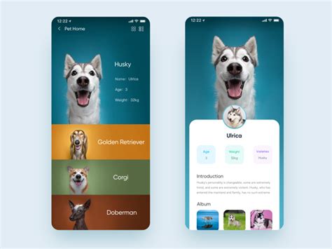 user profile by gxing dribbble dribbble ui design mobile mobile
