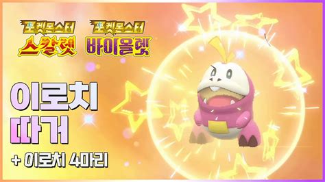 따거 알까기로 이로치 뽑았습니다 Youtube