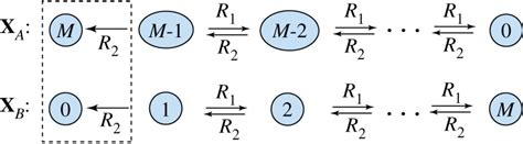 Stochastic Analysis Of Biochemical Reaction Networks With Absolute Concentration Robustness