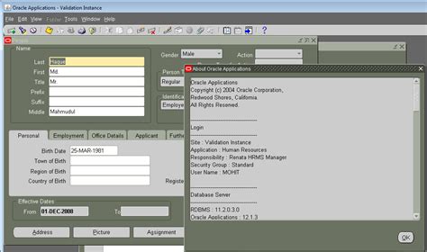 Oracle HRMS World Usage Of Help Diagnostics In EBS