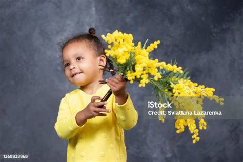 회색 배경에 노란색 꽃을 가진 어린 아프리카 계 미국인 소녀 땋은 머리에 대한 스톡 사진 및 기타 이미지 땋은 머리 2 3 살 가꿔주기 Istock