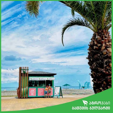 📣 აგროჰაბის სანაყინე პავილიონები ⛱ აგროჰაბი • Agrohub