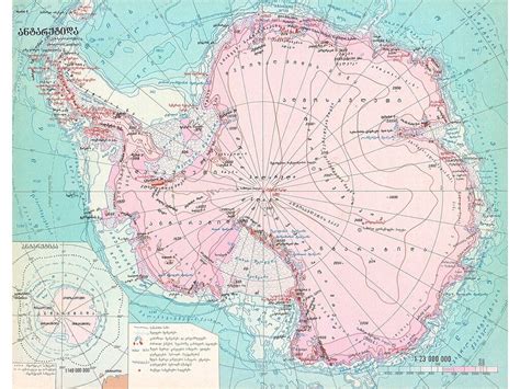 ანტარქტიდა Wakelet