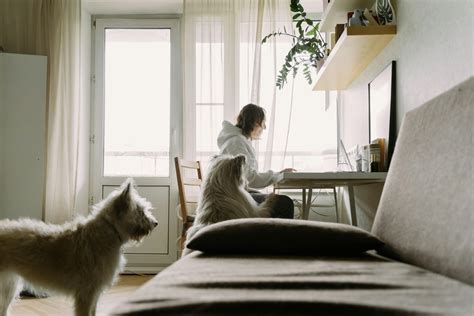 Working Animated Photos Download The Best Free Working Animated Stock