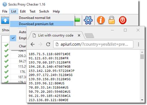 socks proxy free socks5 and socks4 proxy list