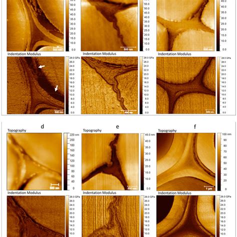 Middle Lamella Cell Corner In Jute Fibers Two Profiles In White Are