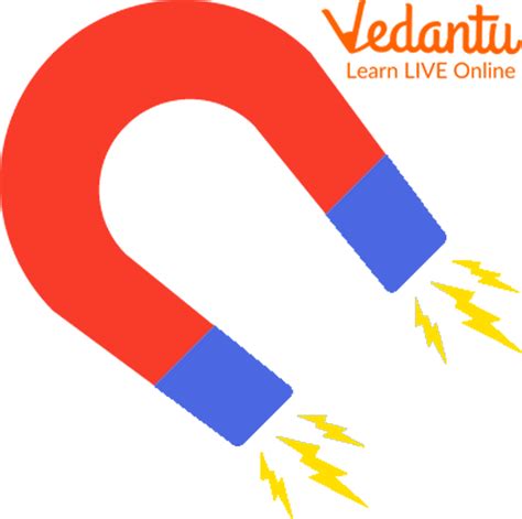 Magnets Definition Facts And Uses For Evs Live Class 2026