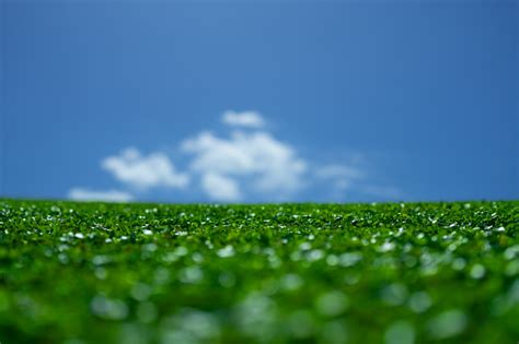 잔디 배경입니다 그린 필드 여름 초원 스프링 힐 잔디밭 잔디 질감입니다 자연 환경 햇볕이 잘 드는 잔디 시골 풍경 목초지 패턴입니다 초원 전망 시골 잔디 0명에 대한 스톡