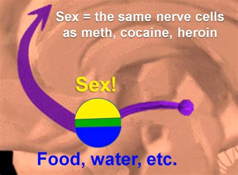 网络色情是如何让你上瘾的有什么负面影响