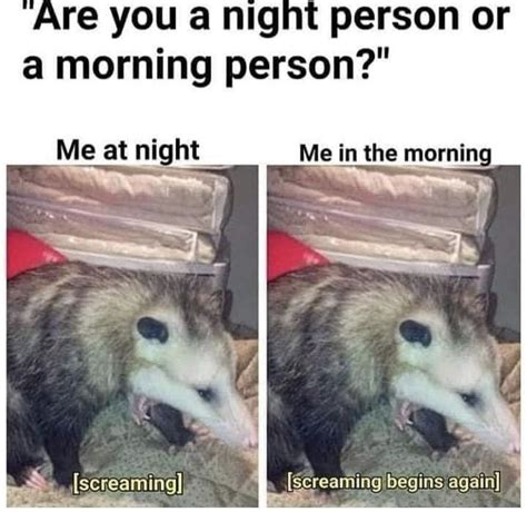 2meirl4meirl R2meirl4meirl Possums Know Your Meme