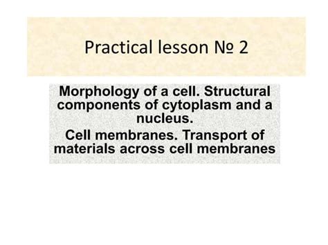 practical lesson №2 2 1 pptx