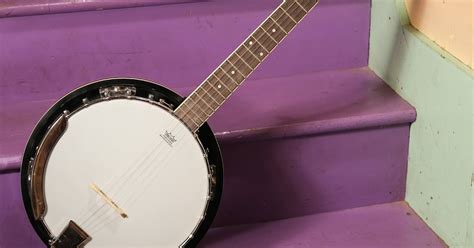 2010s Pyle 5 String Resonator Banjo
