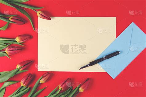 空白的卡片钢笔蓝色的信封和红色的郁金香花在红色的背景