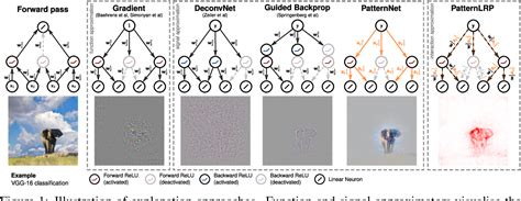 Figure 1 From Patternnet And Patternlrp Improving The