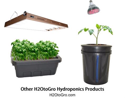 5 4 Site ~ H2otogro Dwc Bubbler Bucket Hydroponic System Free Us