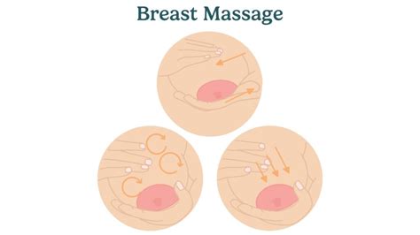 Breast Massage Breastfeeding Glossary By The Lactation Collection