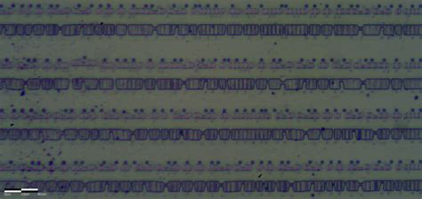 FTDI FT232RL Real Vs Fake ZeptoBars