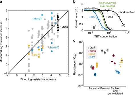 Epistasis Between Gene Deletions And Resistance Mutations Underlies Download Scientific Diagram