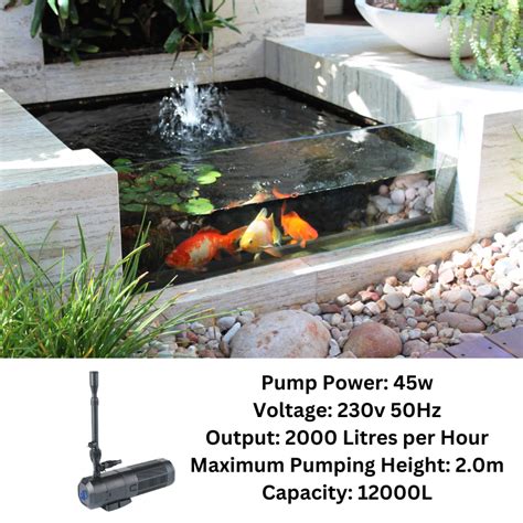 Koi Fish Pond Water Pump