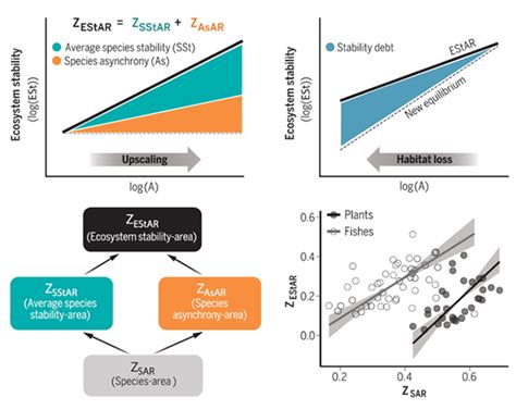 我国学者在生物多样性与生态系统稳定性研究领域取得新进展 生物通