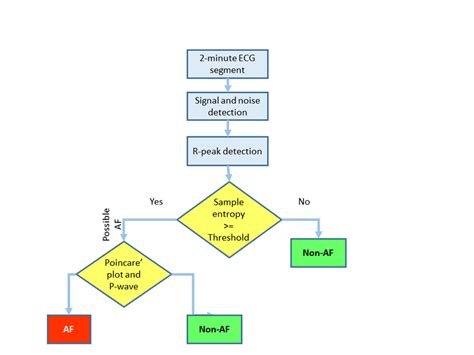 Flow Diagram Showing The Steps Used By The Automated Atrial