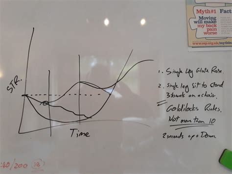 Load And Capacity In Sports And Life Global Therapies