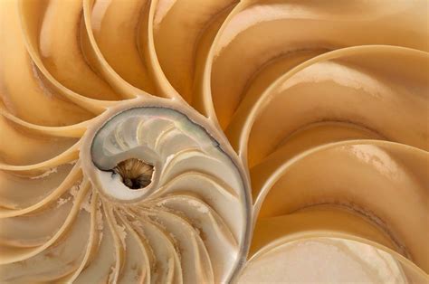 for the love of computing the lagged fibonacci generator — where