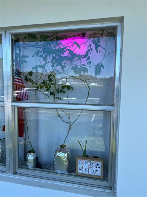 I Did A Thing V2 Home Assistant Grow Automation R Hydroponics