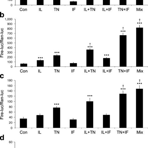 Induction Of Birc3 Promoter By Cytokines Through Nf κb Responsive