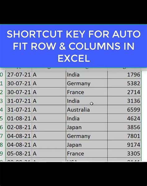 Excel Tips Shortcut Key For Auto Fit Rows And Columns In Excel