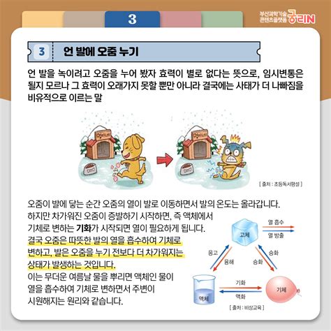궁리n 부산의 과학기술 콘텐츠 플랫폼