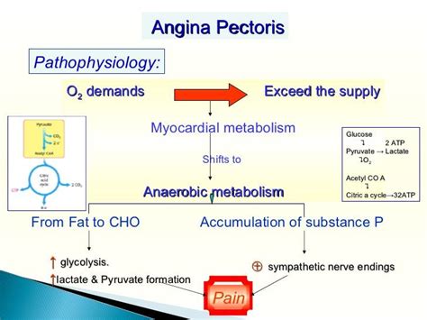 Drug Therapy Of Angina Pectoris Gpat Discussion Center