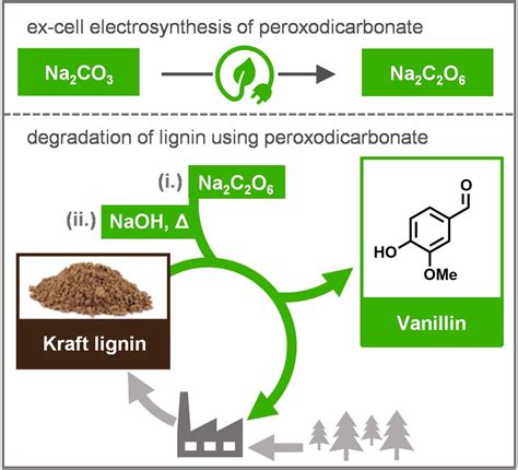 Purification Process Vanillin At Janie Clark Blog