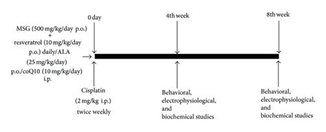 Schematic Representation Of Experimental Design Download Scientific Diagram